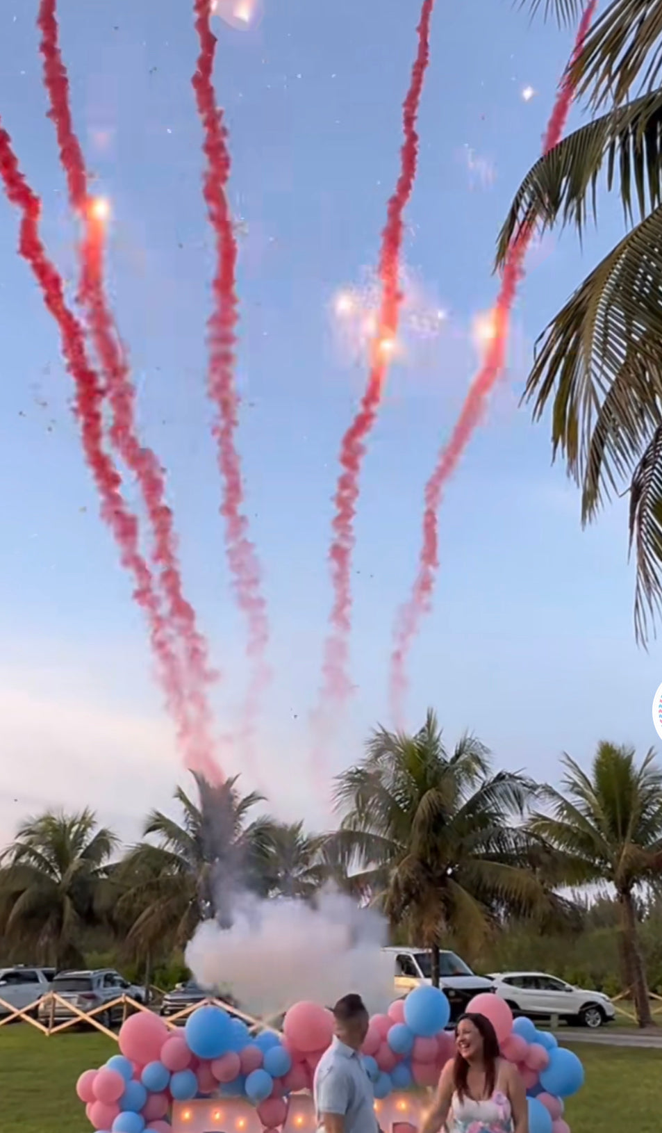 GENDER REVEAL DAYTIME FIREWORKS PINK – Party King Miami